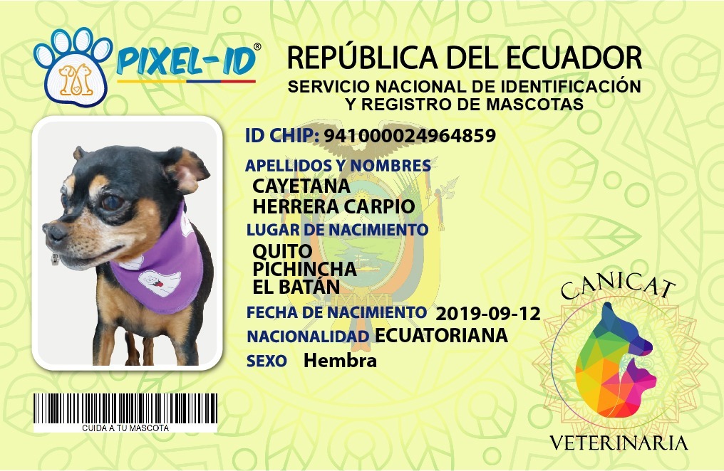CHIP ID:
