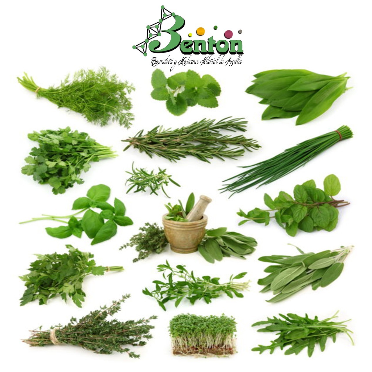 Plantas Medicinales