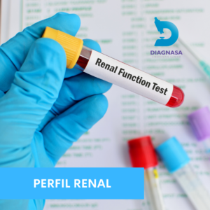 Perfil Renal