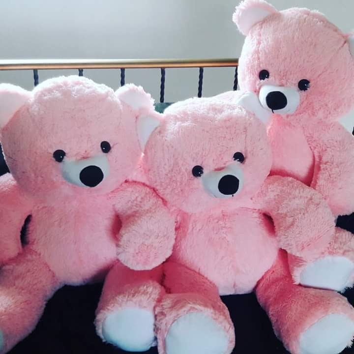 Osa Rosa personalizada