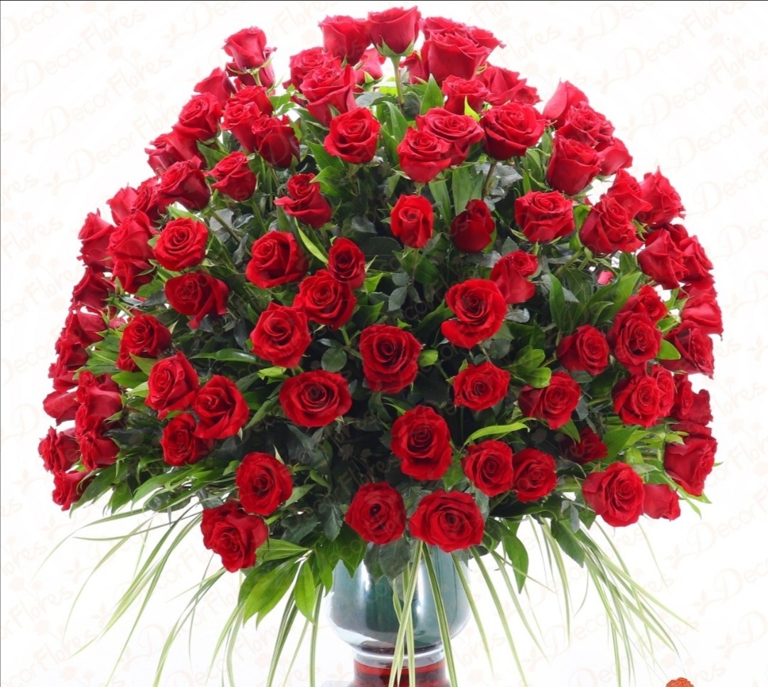 Ramo de Rosas Redondo / La Rosa de Hebrón