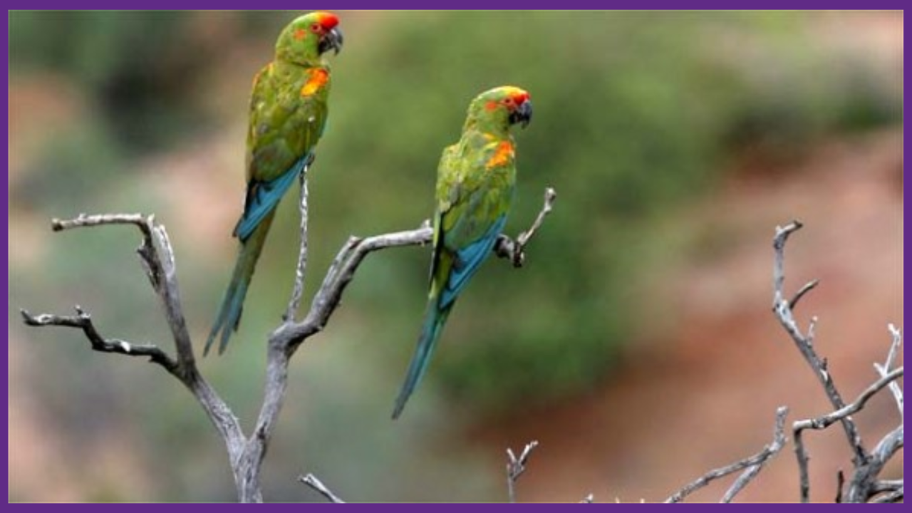 3 cosas que no sabías de Torotoro